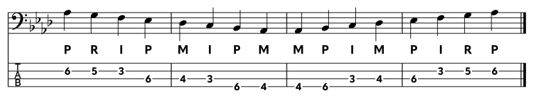 Bass Scales For Beginners | BassBuzz.com