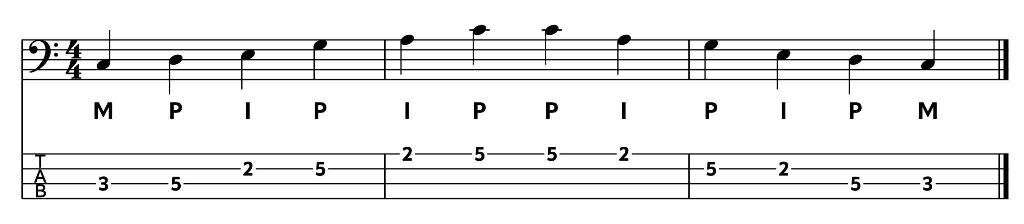Bass Scales For Beginners | BassBuzz.com