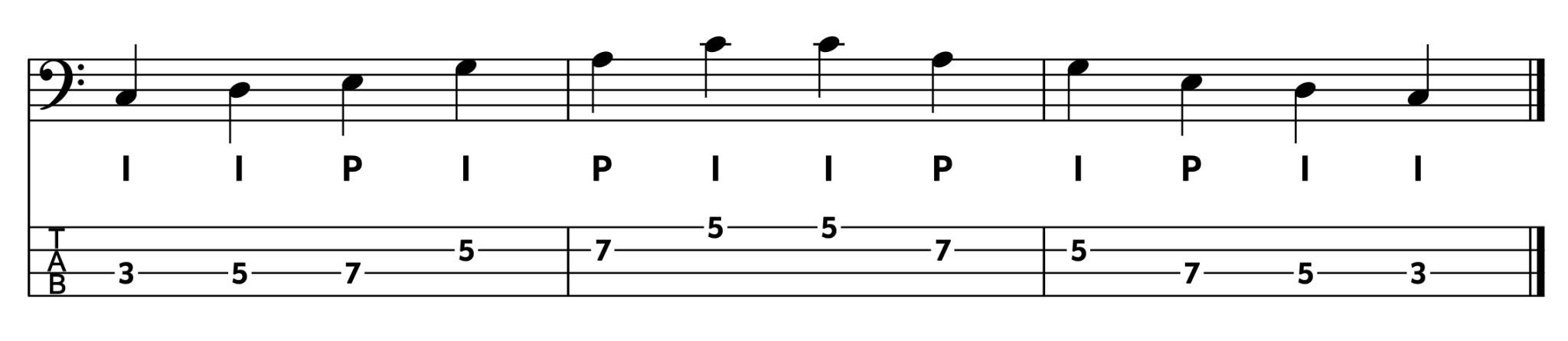 Bass Scales For Beginners | BassBuzz.com