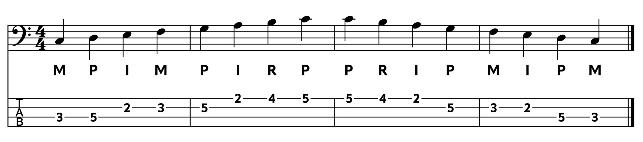 Bass Scales For Beginners | BassBuzz.com