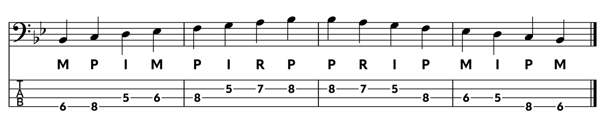 Bass Scales For Beginners | BassBuzz.com