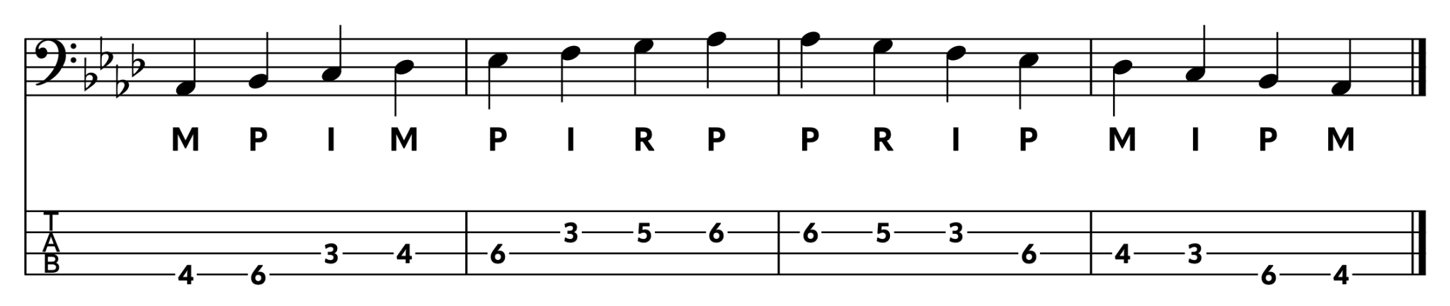 Bass Scales For Beginners | BassBuzz.com