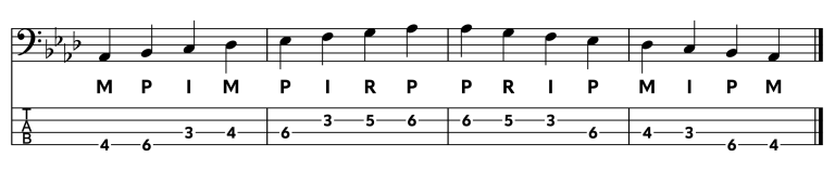 Bass Scales For Beginners | BassBuzz.com