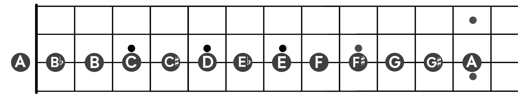 Bass Scales For Beginners | BassBuzz.com
