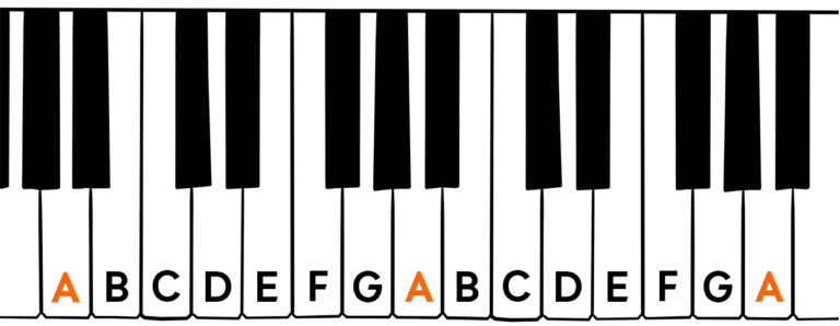 Learn Your Bass Fretboard Notes | BassBuzz.com